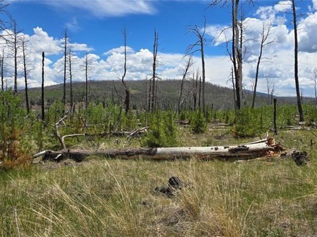 Kopf Ln Lot 1617, Fort Garland, CO 81133
