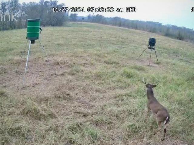 Korthauer Rd, Bellville, TX 77418