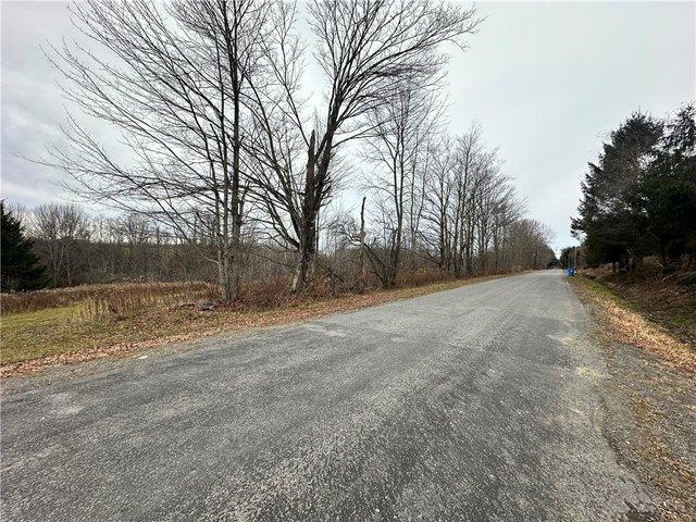 Kostenko Sutton Rd, Pitcher, NY 13801