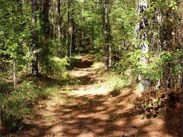 Kosciusko, MS Attala Country Land 67.0000 acre for sale in Kosciusko, Mississippi
