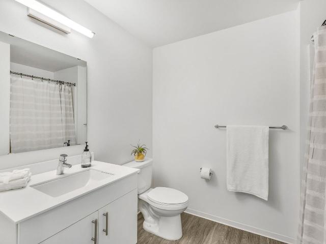 Koz at the Dome Studio Apartment for Rent at 304 Puyallup Ave, Tacoma, WA 98421 New Tacoma