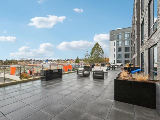 Koz on Alderwood Mall Blvd 1 Bedroom Apartment for Rent at 4301 Alderwood Mall Blvd, Lynnwood, WA 98036