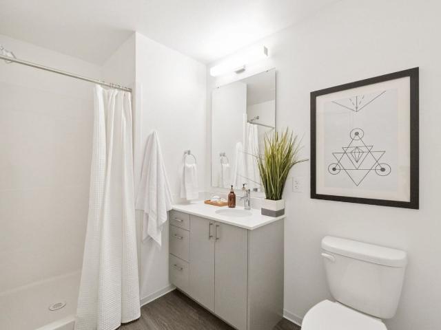 Koz Uptown 1 Bedroom Apartment for Rent at 300 W Republican St, Seattle, WA 98119 Lower Queen Anne