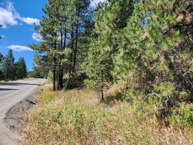 Klondike Rd, Republic, WA 99166