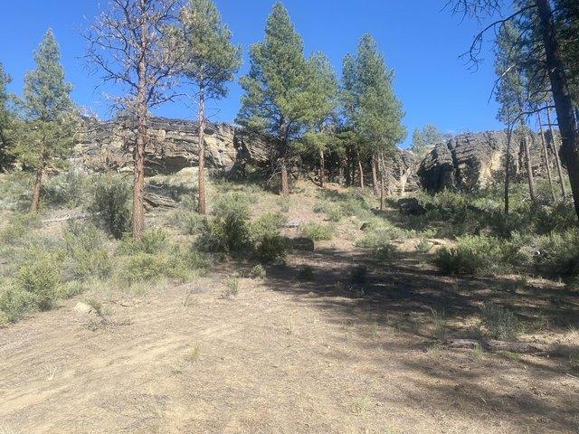 Klamath Forest Ests, Sprague River, OR 97639
