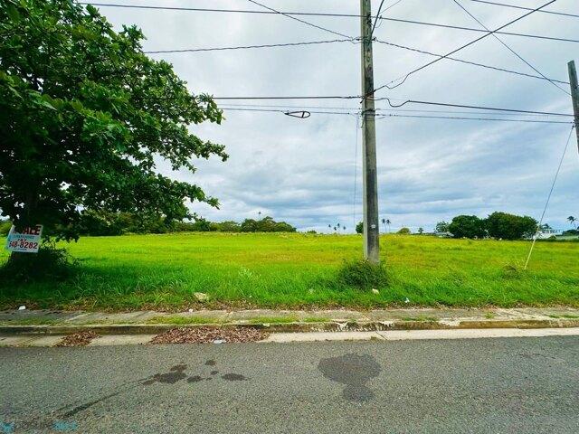 Km Barrio Jobos Rd #,isabela, Plot For Sale