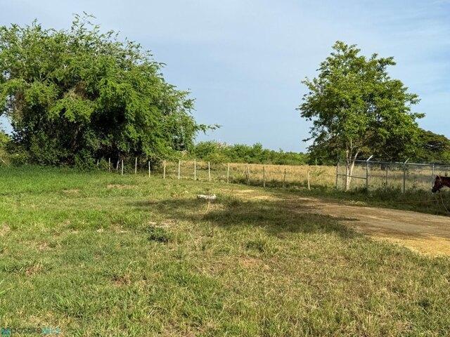 Km Barrio Mora Carretera #,isabela, Plot For Sale