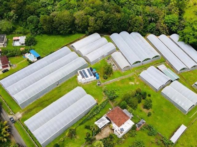 Km Bo Franquez La Alianza, Morovis, Farm House For