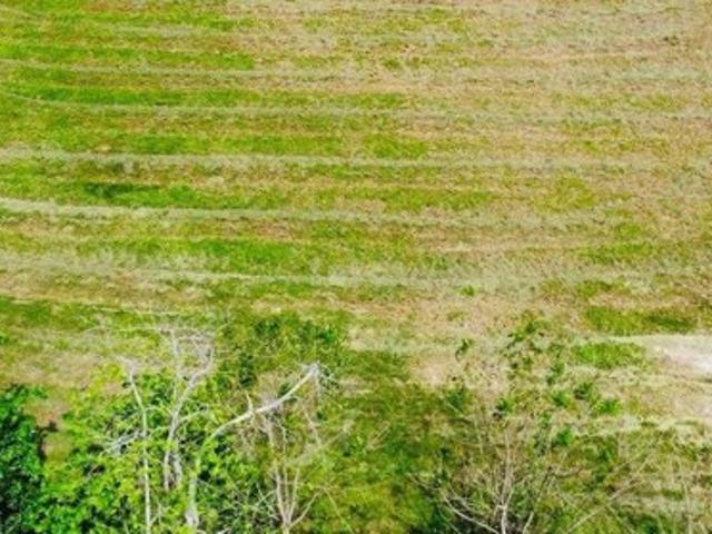Km Bo Guayabos Unit Carr Unit Carr, Aguada, Plot For Sale