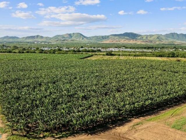 Km Bo Lapas Pr #,salinas, Plot For Sale