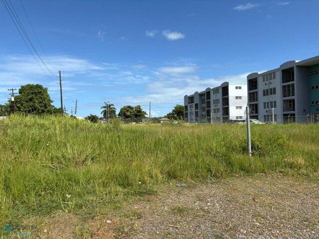 Km Bo Miradero Solar Carr #,cabo Rojo, Plot For Sale