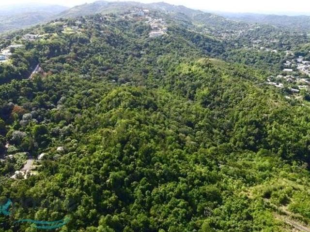 Km Carr #,mayaguez, Plot For Sale