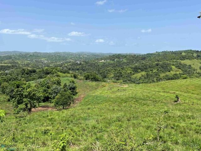 Km Carr #,moca, Plot For Sale