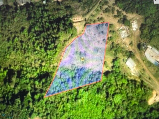 Km Carr #,orocovis, Plot For Sale