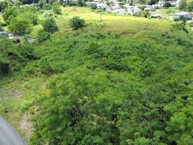 Km Carr #,anasco, Plot For Sale