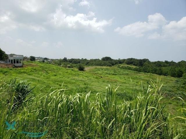 Km Carr #,cabo Rojo, Plot For Sale