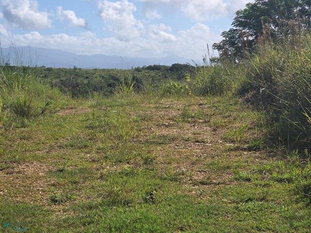 Km Carr #,cabo Rojo, Plot For Sale