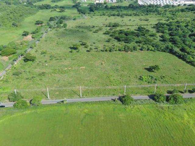 Km Carr #,isabela, Plot For Sale