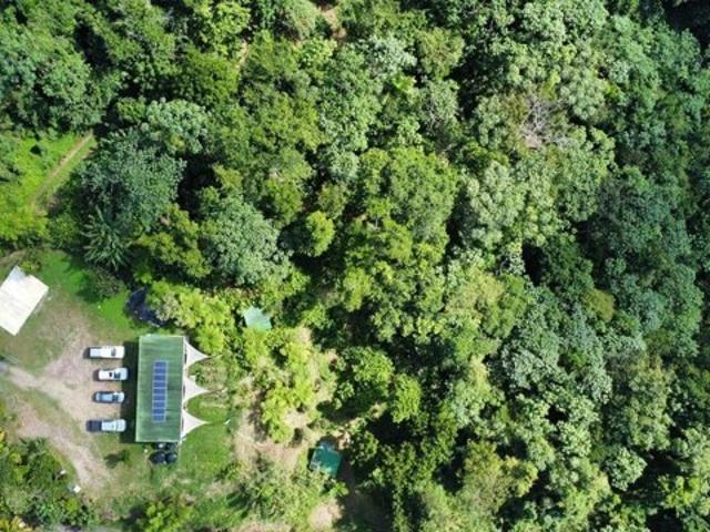 Km Carr #,las Marias, Plot For Sale