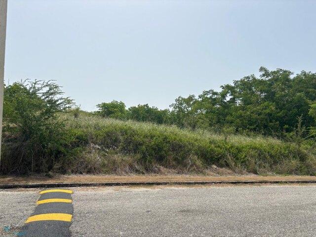 Km Carr Sector Calles Unit Solar Unit Solar, Yauco, Plot For Sale