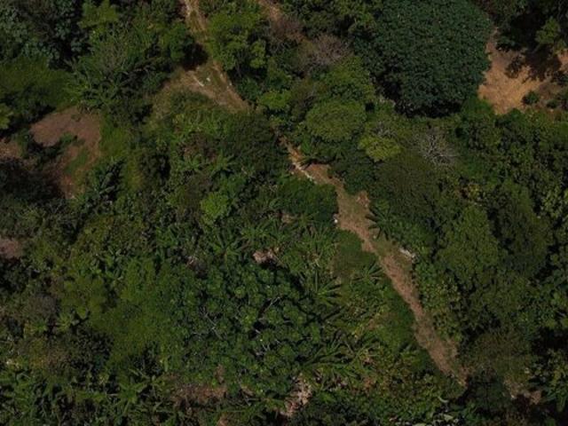 Km Carr #,utuado, Plot For Sale