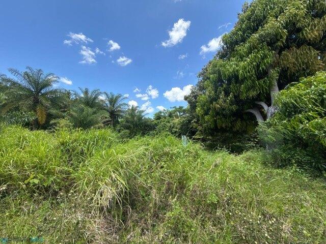 Km Carr Unit Solar, Sabana Grande, Plot For Sale