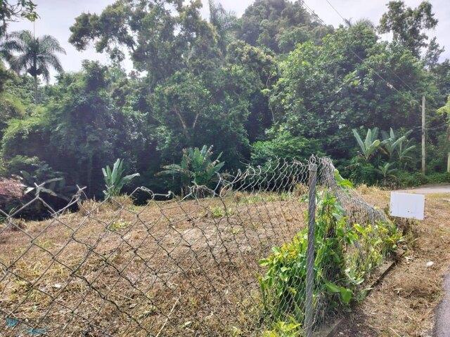 Km Int Carr #,utuado, Plot For Sale