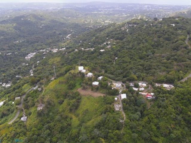 Km Int Carretera #,mayaguez, Plot For Sale