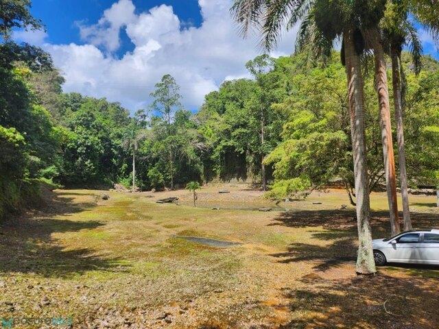 Km Int Carretera #,ciales, Plot For Sale