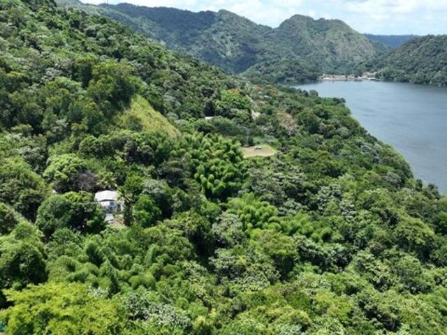 Km Pr #,utuado, Plot For Sale