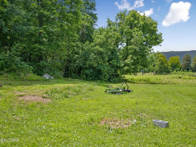 Knob Rd, Rutledge, TN 37861