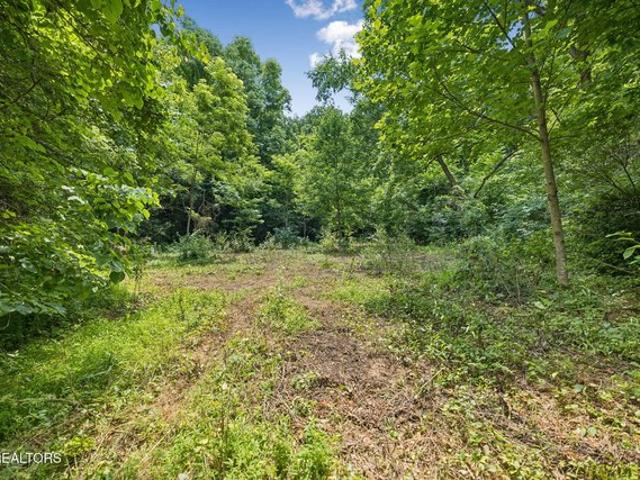 Knob Rd, Rutledge, TN 37861