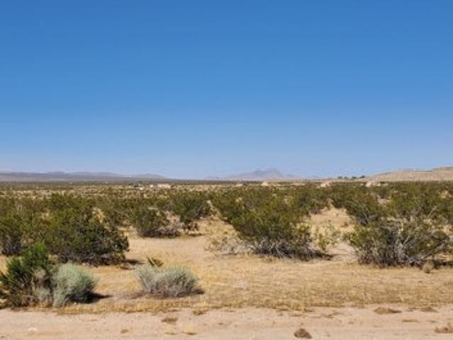 Knoll Crst, California City, CA 93505