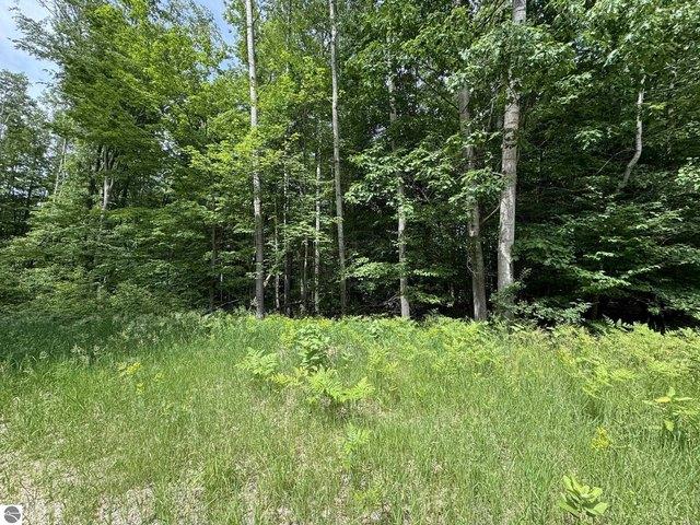 Knoll One Dr, Leroy, MI 49655