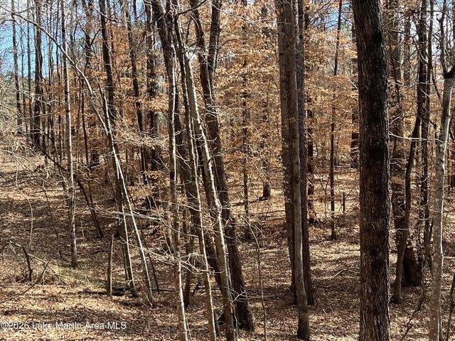 Knollwood Dr Lot 1, Dadeville, AL 36853