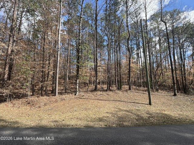 Knollwood Dr Lot 3, Dadeville, AL 36853