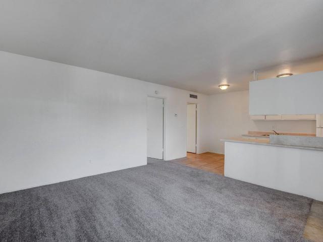 KNC Square 1 Bedroom Apartment for Rent at 535 535 & 549 Sierra Vista Drive, Las Vegas, NV 89169
