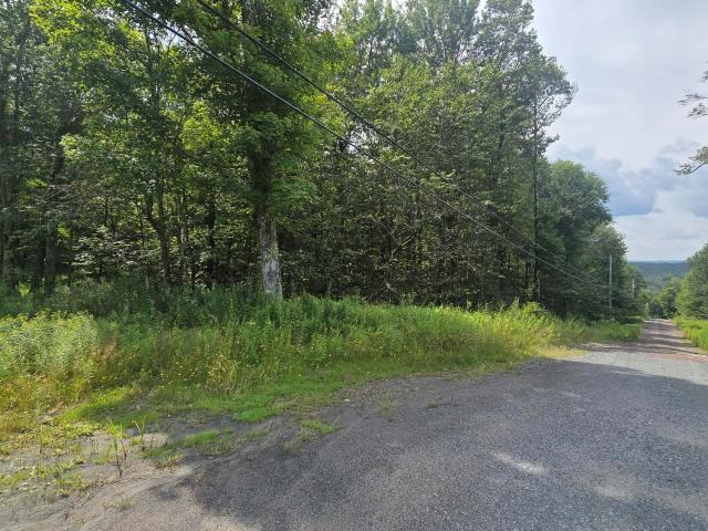 Knickerbocker Road
