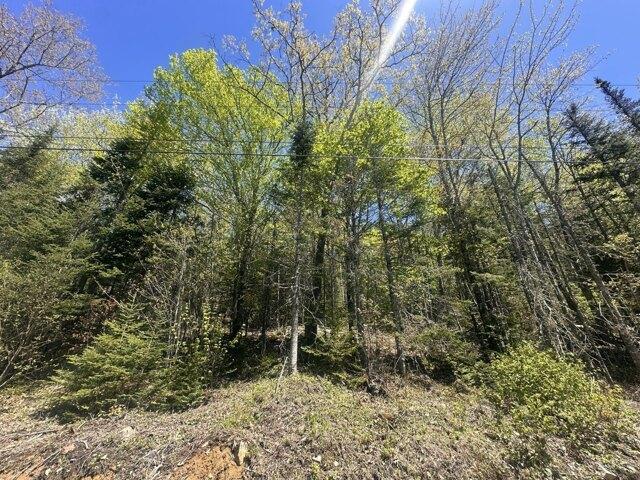 Knights Pond Rd, Northport, Plot For Sale