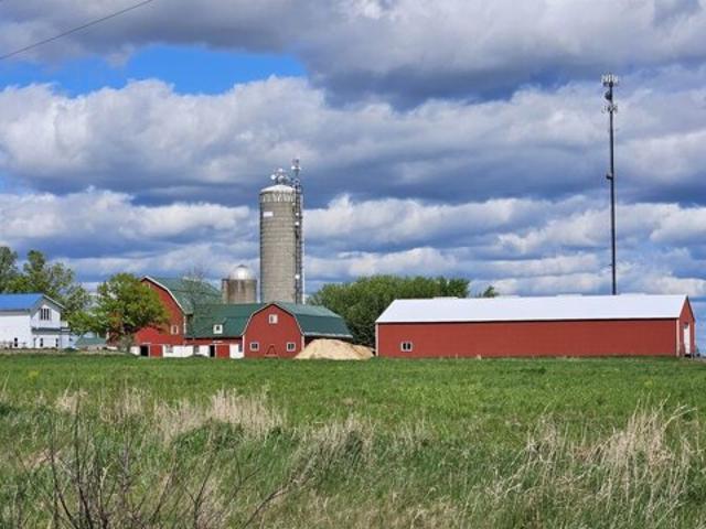 Kraus St, Marshfield, Farm House For