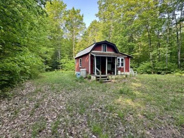 Krenkel Trl, Newberry, Home For Sale
