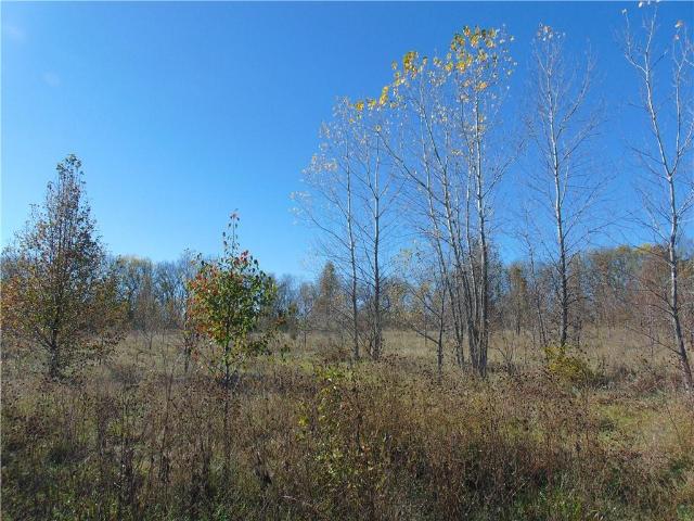 Krissy Bend Dr, Harrisonville, MO 64701 | MLS #2518