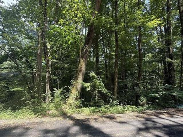 Kristi Ln Lot 3, Grant, AL 35747