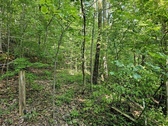Kristina Way Lot 10, Sevierville, TN 37862