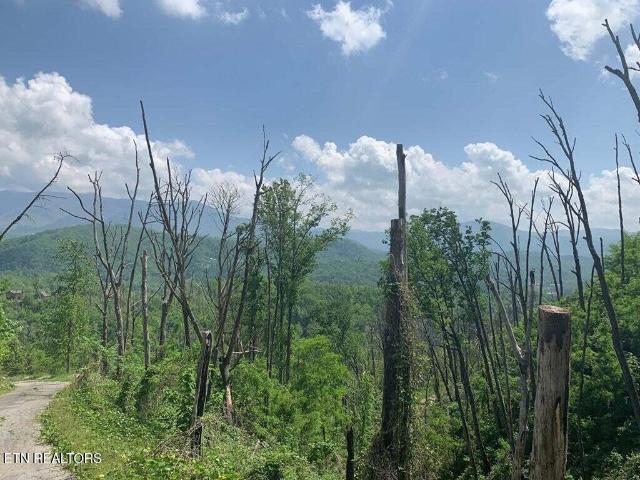 Kristis Place Pl, Gatlinburg, TN 37738 | MLS #1323
