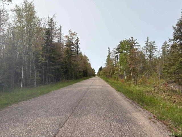 Kunde Rd Parcel A, Skandia, MI 49885