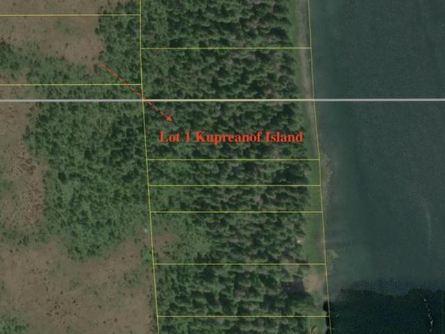 Kupreanof Subd Lot 1, Petersburg, AK 99833