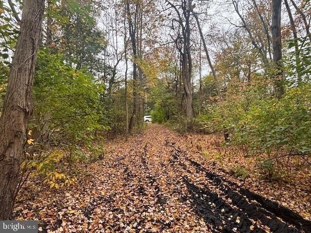 Kuzyk Rd, Cream Ridge, Plot For Sale
