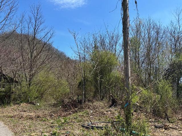 KY 219, Wallins, KY 40873