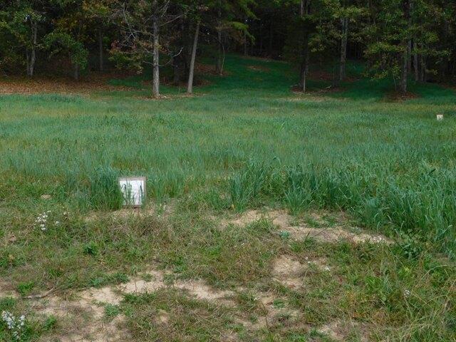 Ky Highway S, Morehead, Plot For Sale